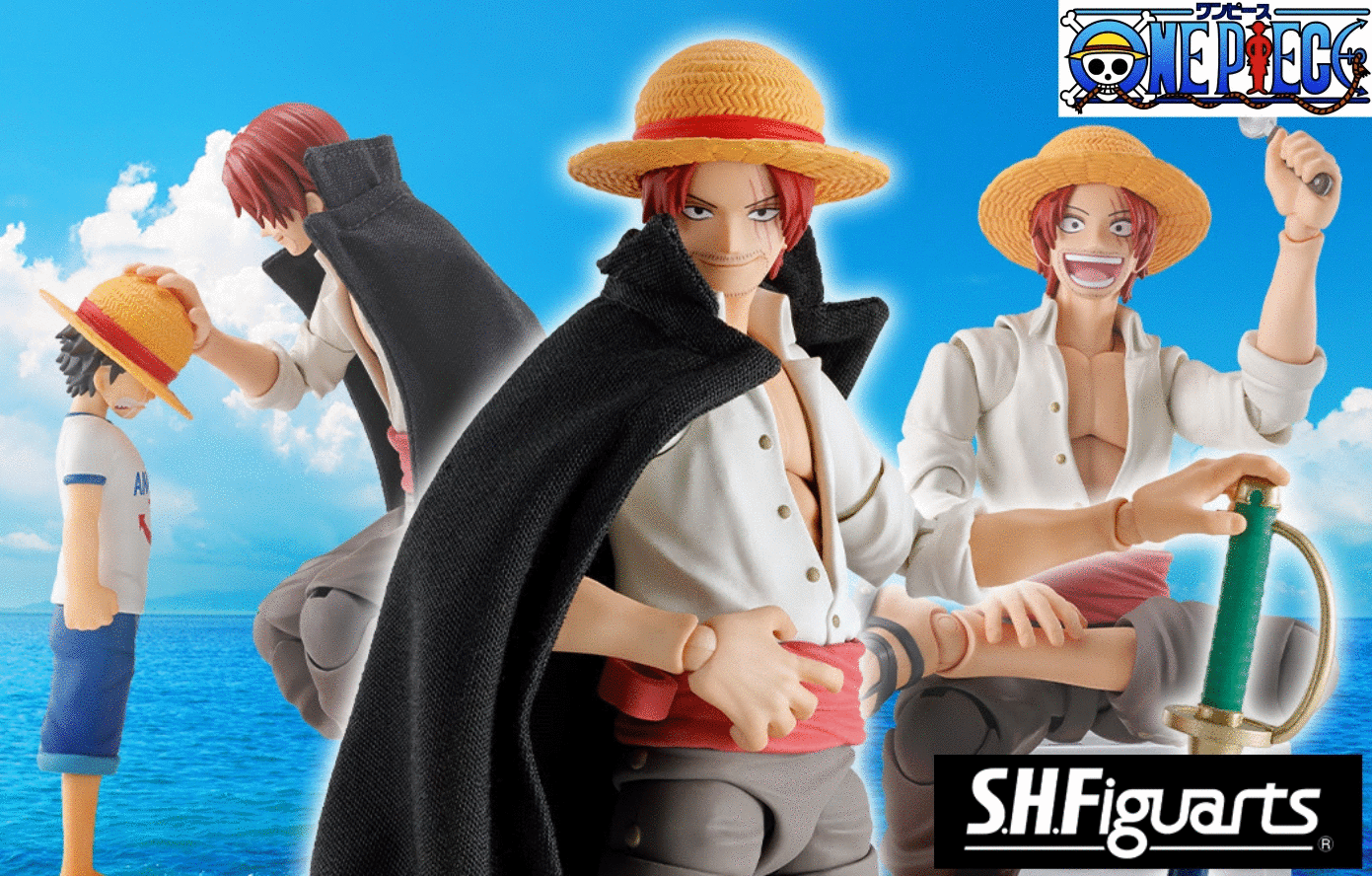 S.H. Figuarts One Piece